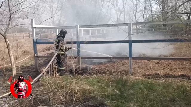 Пожарные всегда будут виноваты?