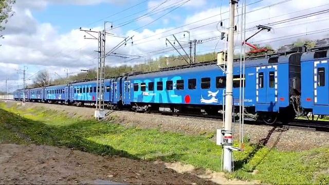 РЭКС экспресс. Электрички Москвы