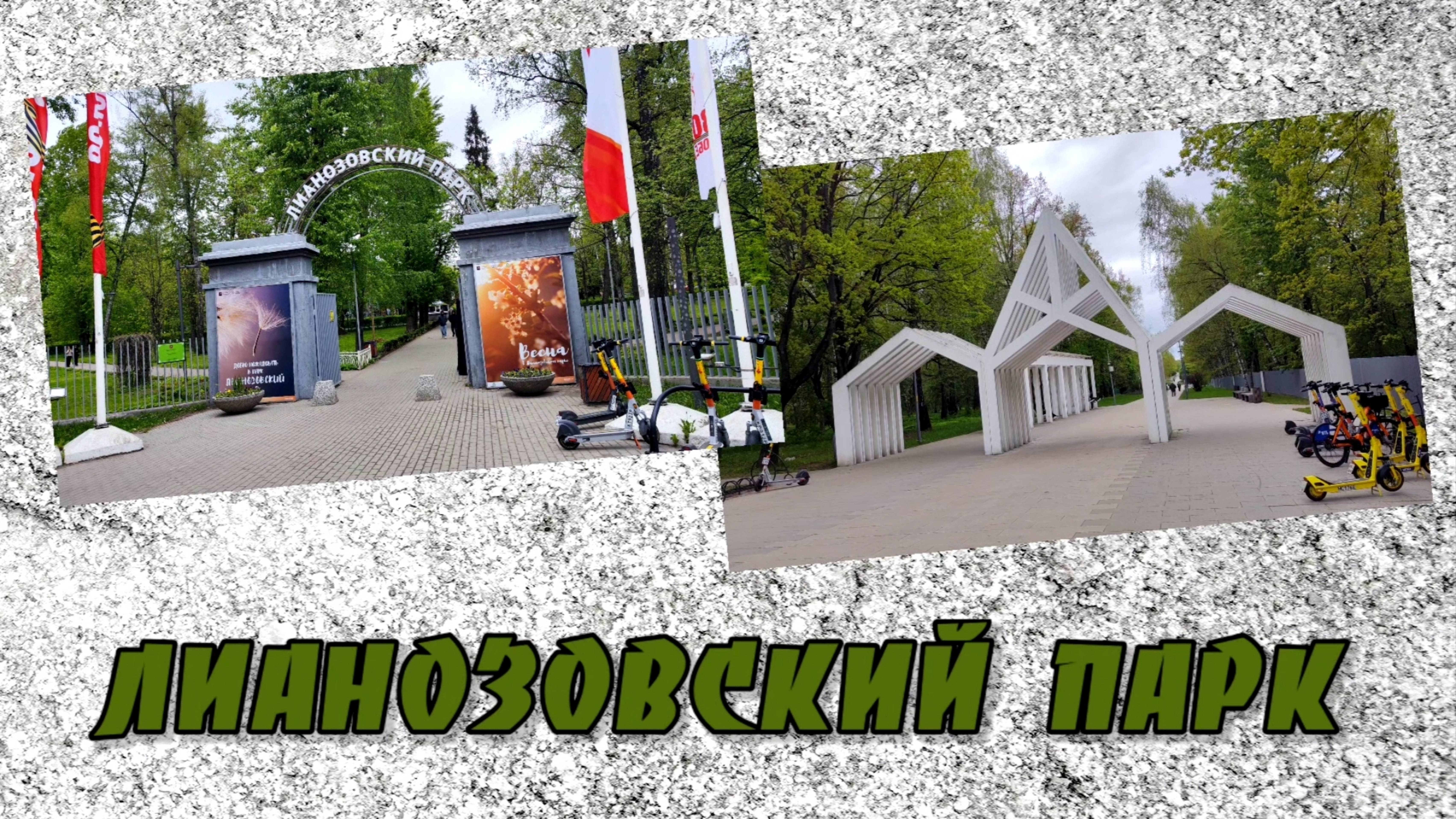 Лианозовский  парк 11.05.2025•года