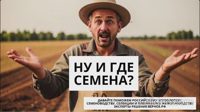 Какие семена надо растить у нас: тепличные огурцы томаты помидоры и шмелей для опыления растений