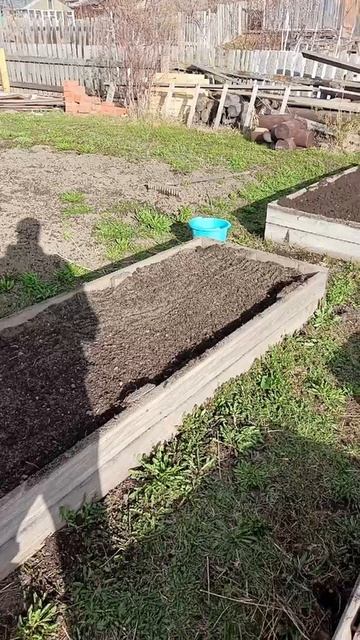 огородные дела в коротышах.