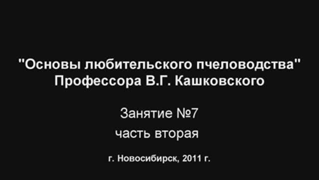 Занятие №7-2. Курсы В.Г. Кашковского.