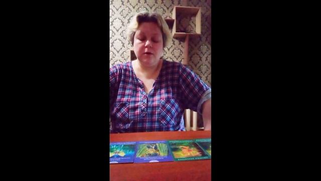 Video.Guru_20241119_145022366.mp4