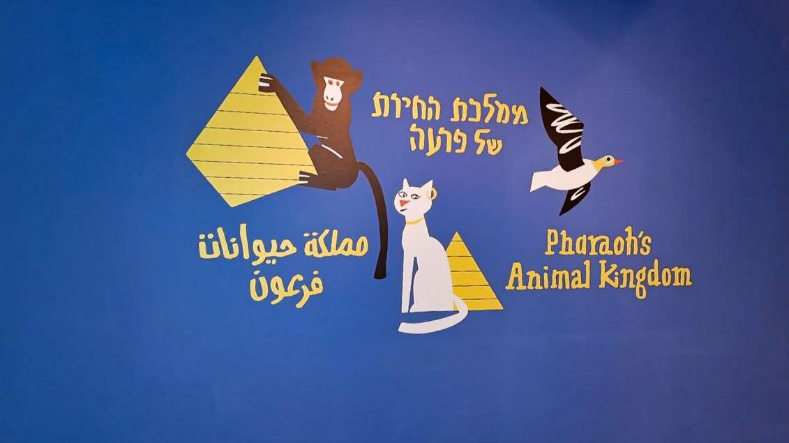 Музей Израиля - животные