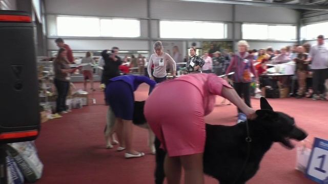 Сравнение на ЛК