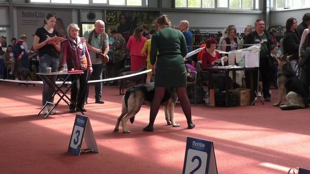 ОД Магнолия