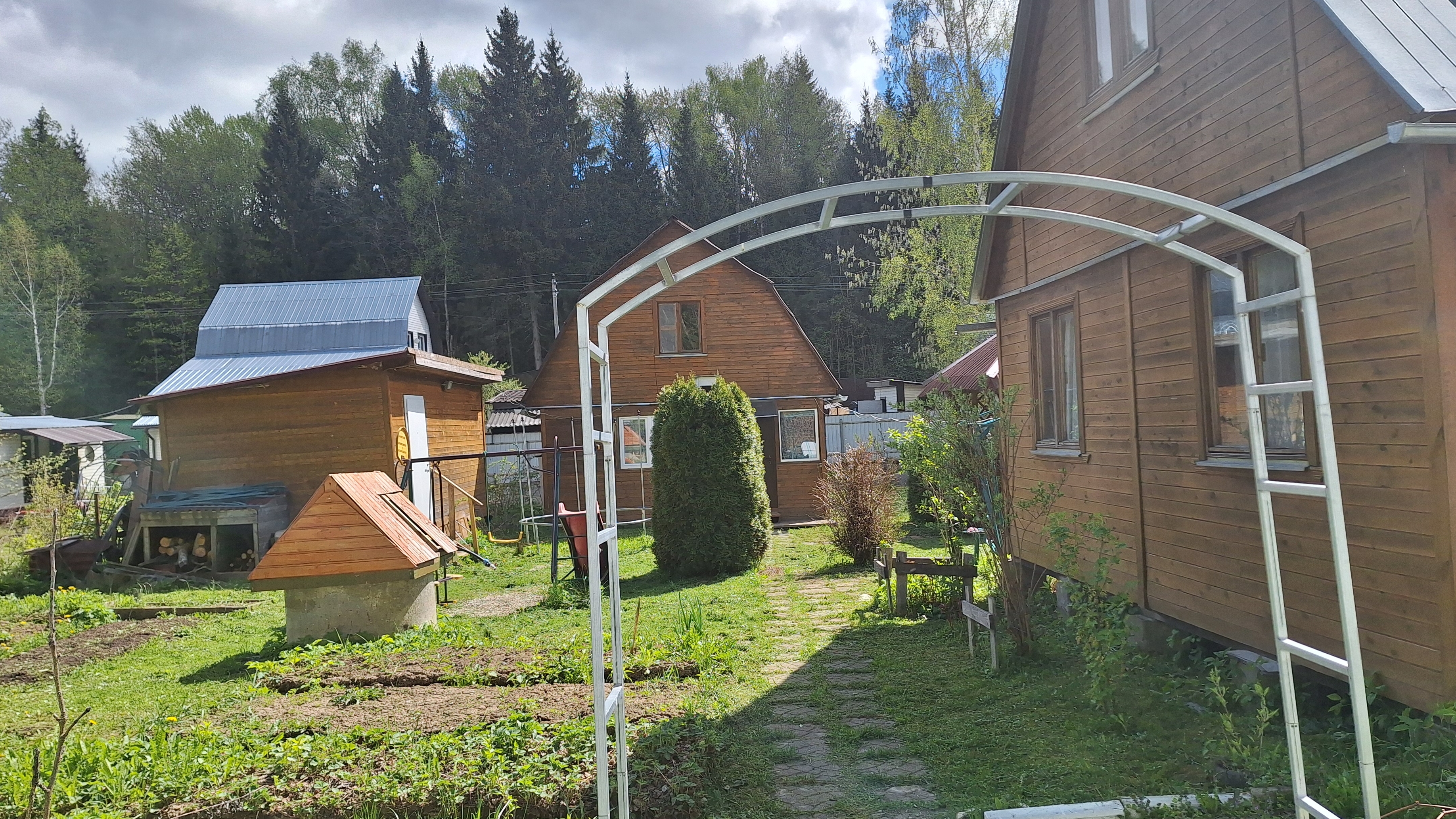 08.05.25 Приехали на старую дачу, косим траву