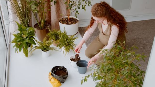 7570663-uhd_3840_2160_25fps