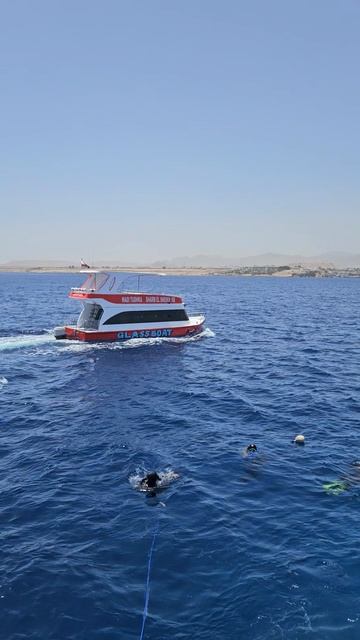 Шарм-эль-Шейх май 2025 видео 2