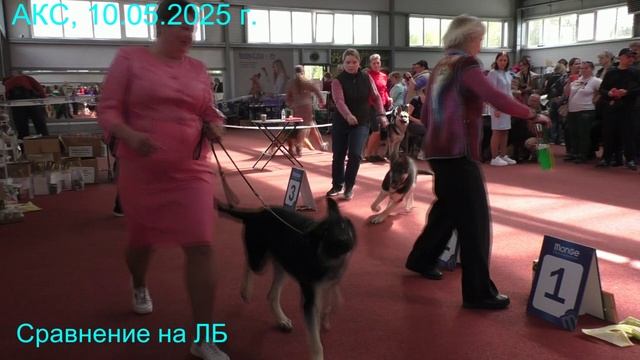 Сравнение на ЛБ