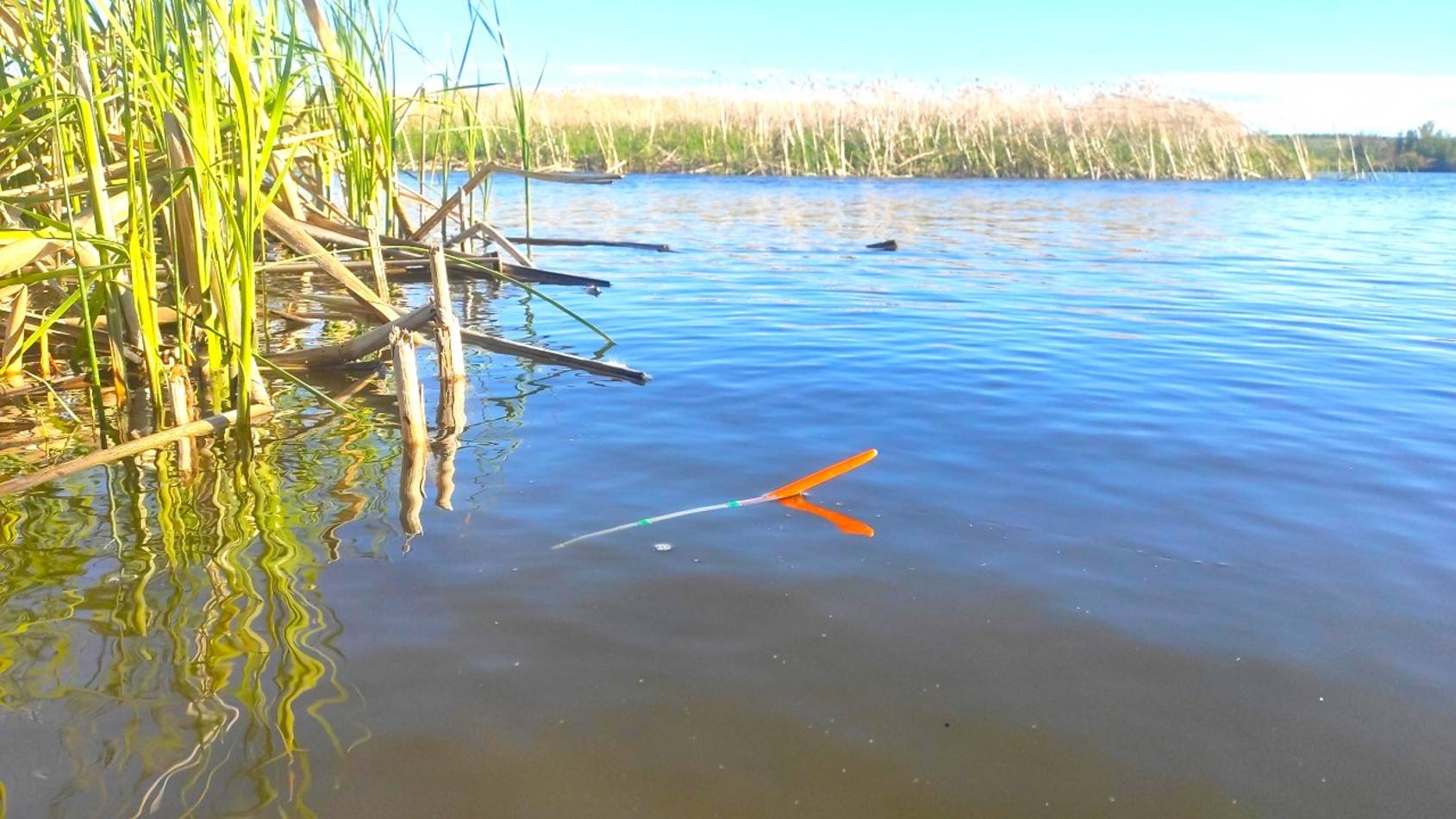 САЗАН УТАЩИЛ... КРУПНЫЙ КАРАСЬ выкладывает поплавок!!!! Рыбалка весной на удочку