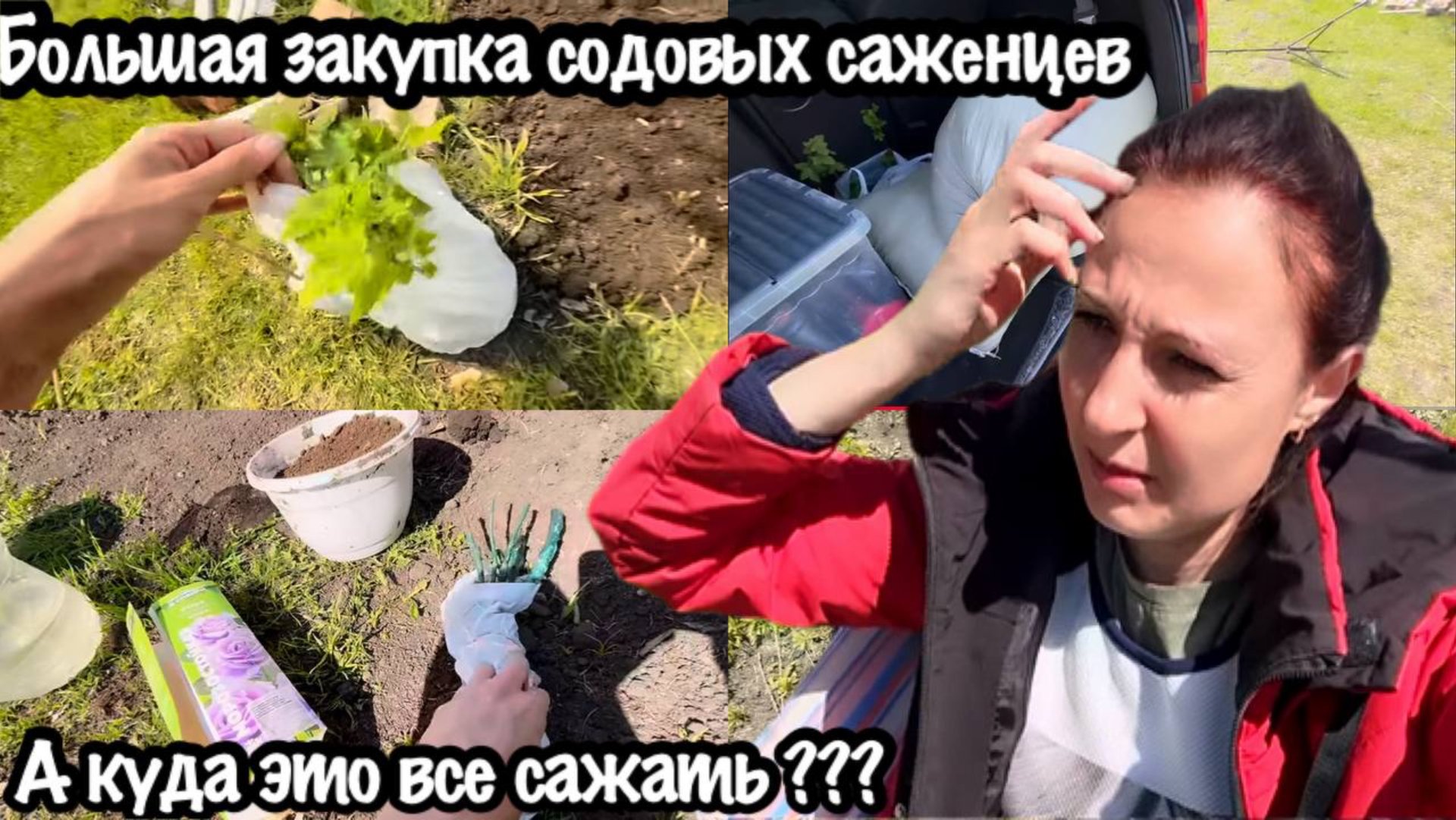 МОИ ПОКУПКИ В САДОВОМ ПИТОМНИКЕ/ВЫСАЖИВАЮ НОВЫЕ САЖЕНЦЫ У СЕБЯ НА ДАЧЕ