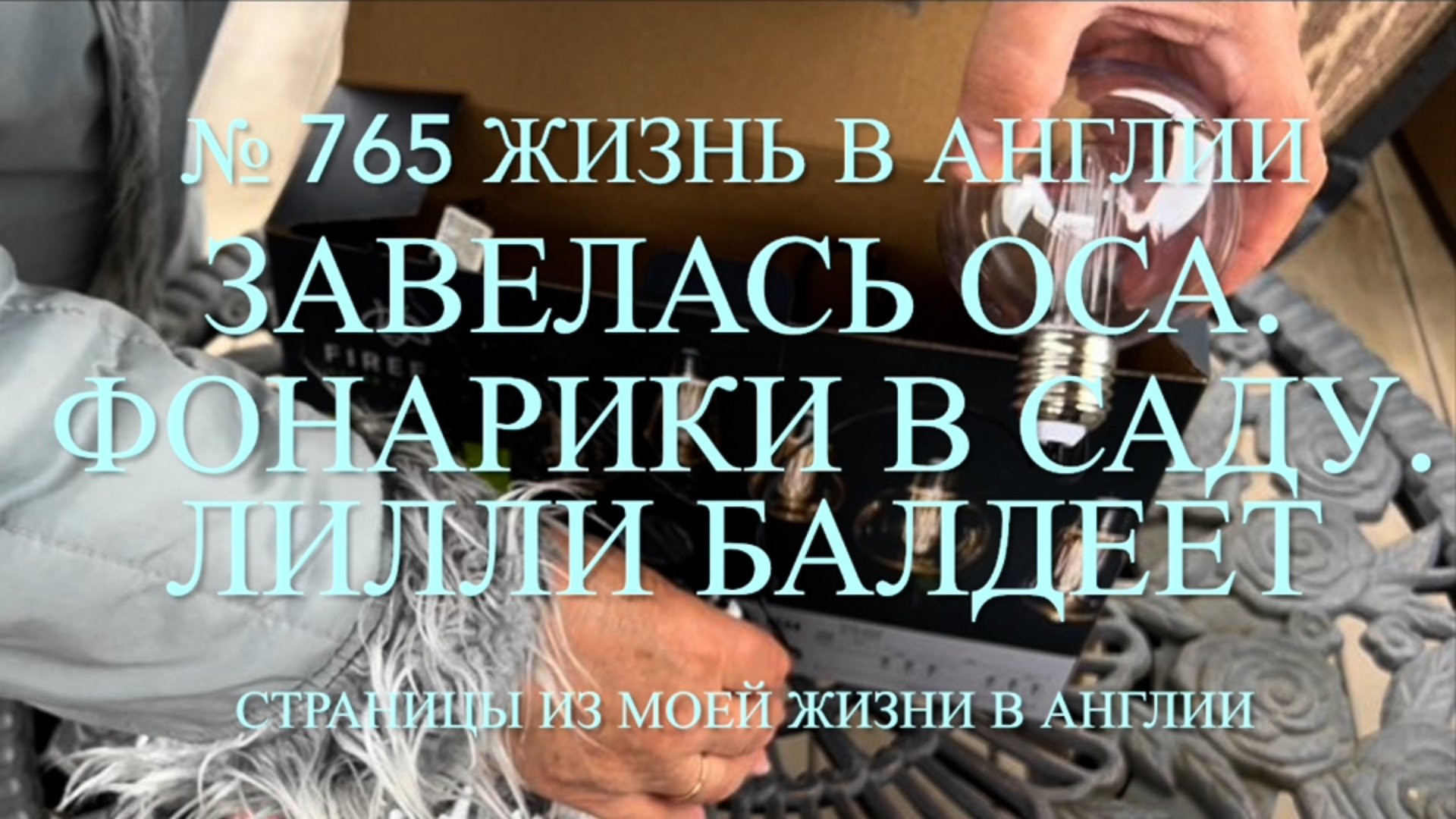 Завелась оса. Новые фонарики в нашем саду. Лилли балдеет. № 765 Жизнь в Англии