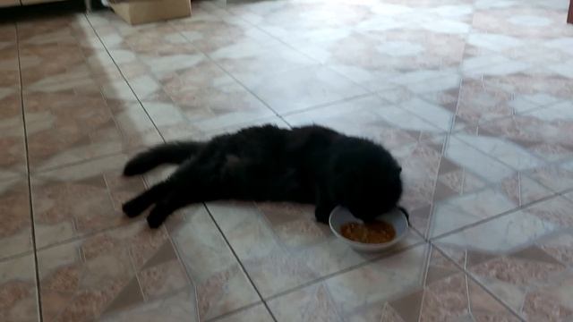 Кофе в постель!