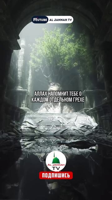 Напоминание / Аят / Сунна