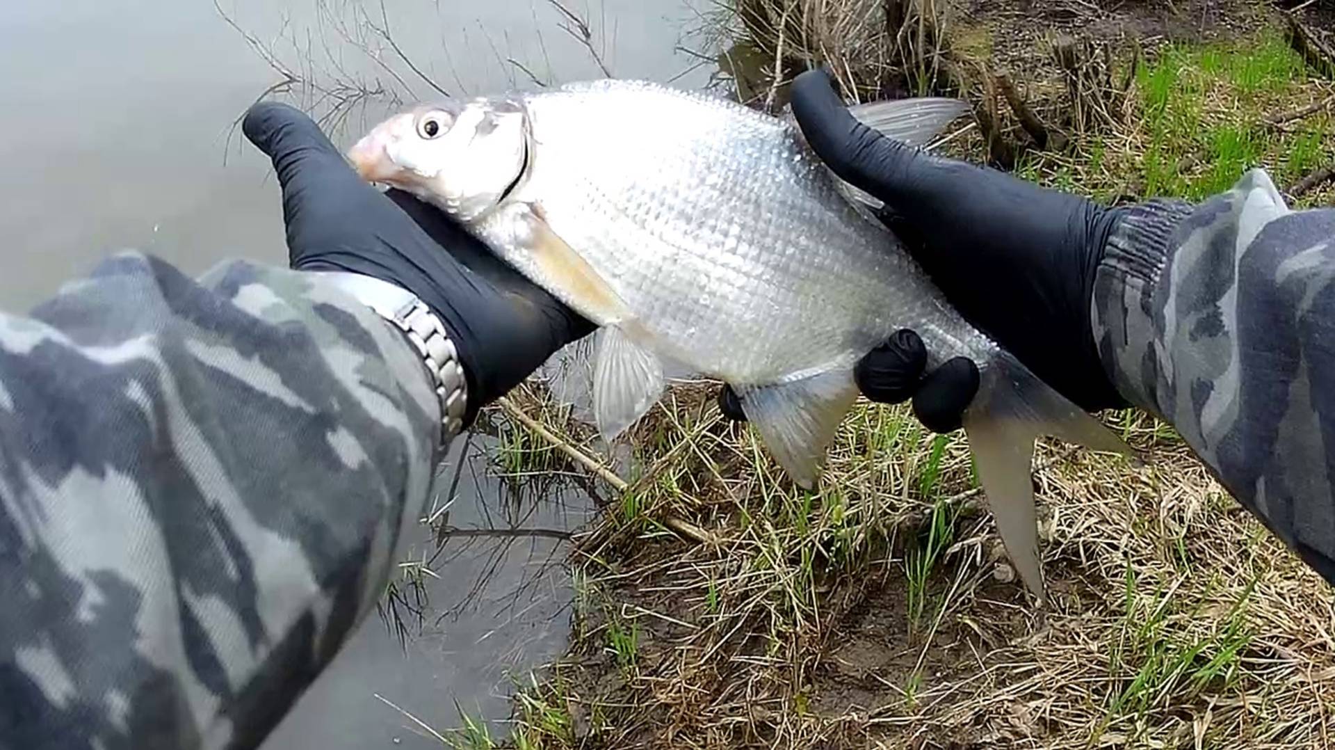 БОЛОНСКАЯ И МАТЧЕВАЯ УДОЧКА ЧТО ЛУЧШЕ