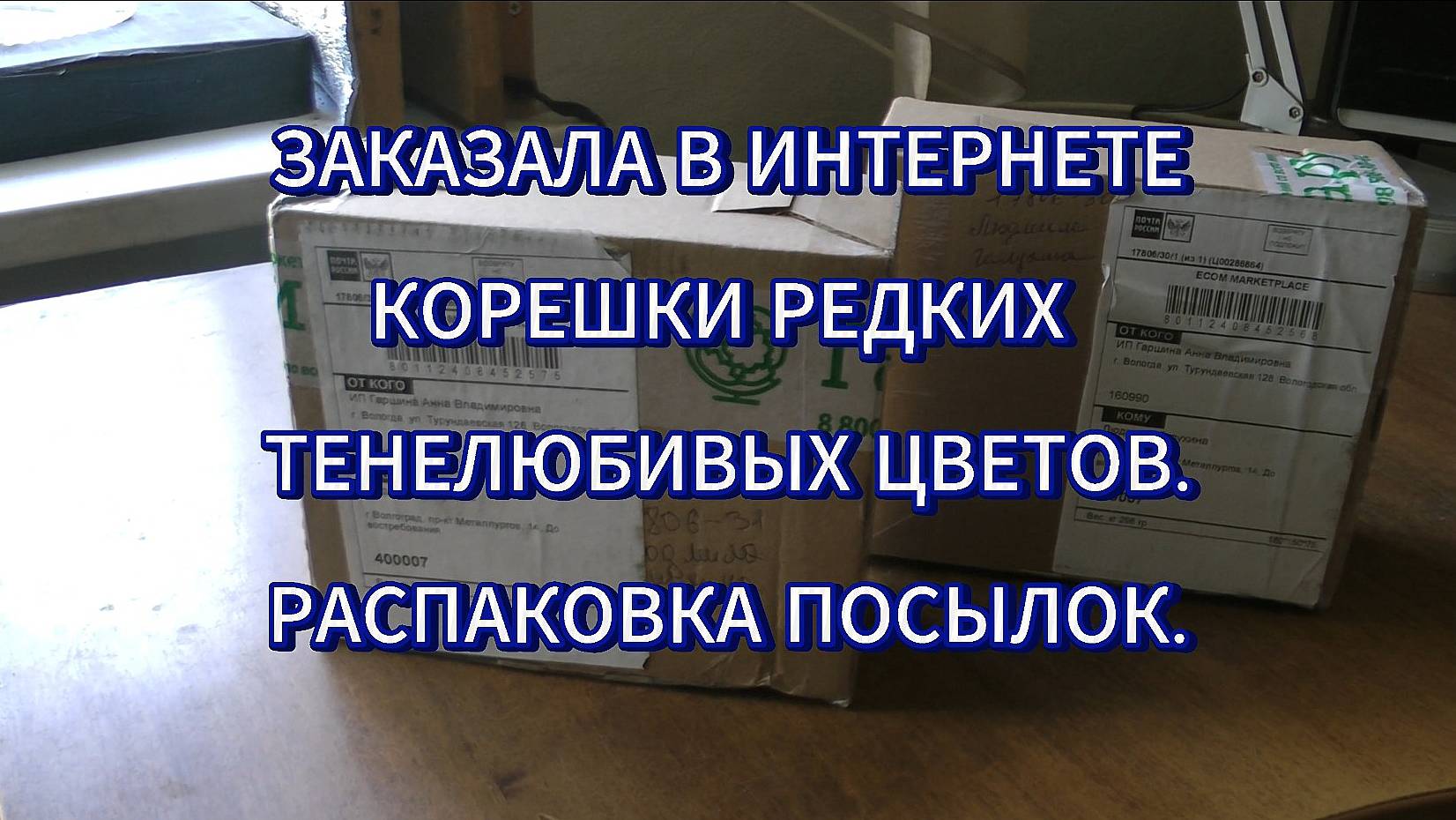 Заказала в интернете корешки редких тенелюбивых цветов. Распаковка посылок.