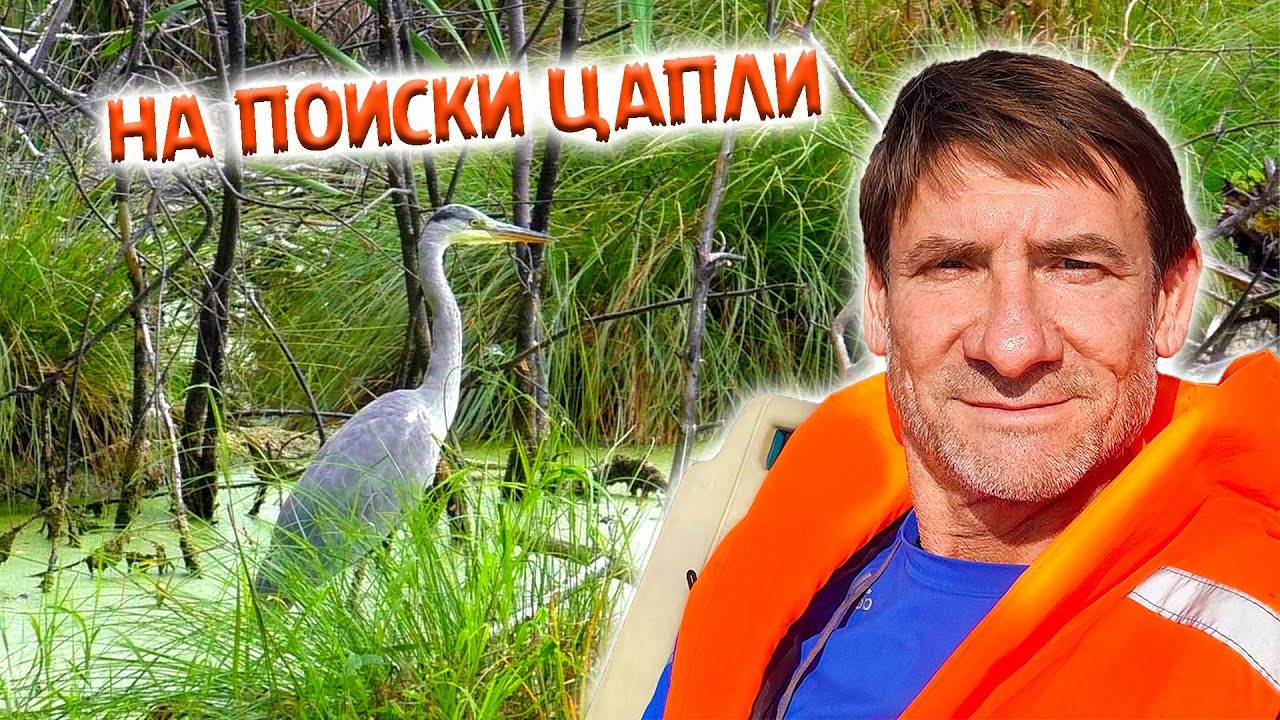 316. Конец лета на знаменитых озёрах. Моряк из меня никакой. Озеро Линево, озеро Данилово. Окунево.