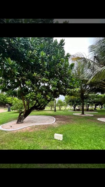 CINNAMON BENTOTA BEACH 5*. Шри-Ланка