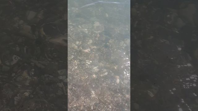 Абхазия 2021 июль романтика