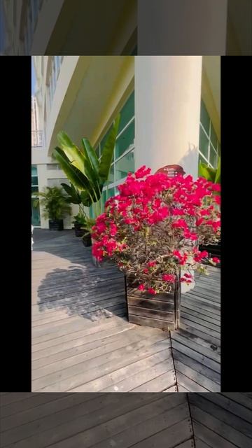 SUNSHINE RESORT INTIME SANYA. о.Хайнань(Китай)