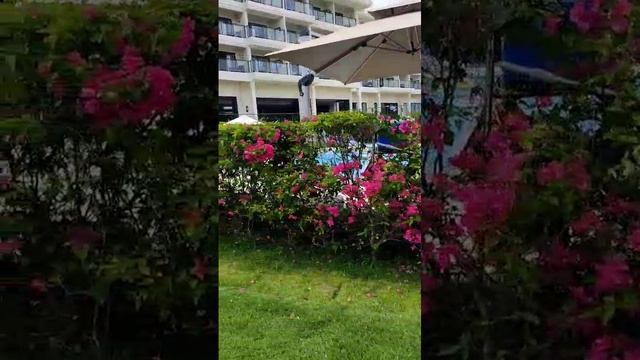 Отпуск в  Китае.Экскурсия.