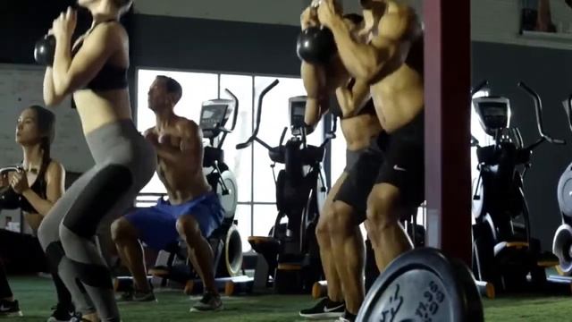 Octane Fitness Max Trainer