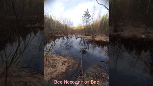 Все исходит от вас Роберт Адамс