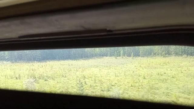 Ритмичный стук колес / звеньевой путь / тайга и горы / из окна поезда / Байкало-амурская магистраль