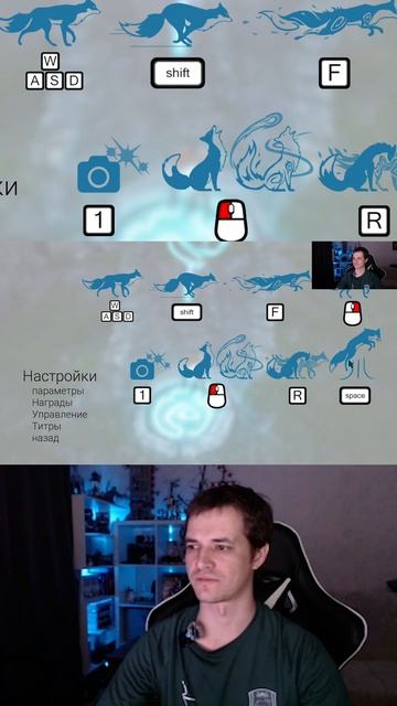 Игра сквозь меню 🐞 #Bug #spiritofthenorth #Last_Student