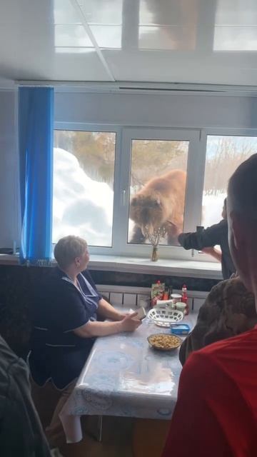 Там на ёлках