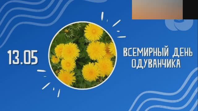СКАЗКИ ОДУВАНЧИКА #спетые_стихи 1000047650.mp4
