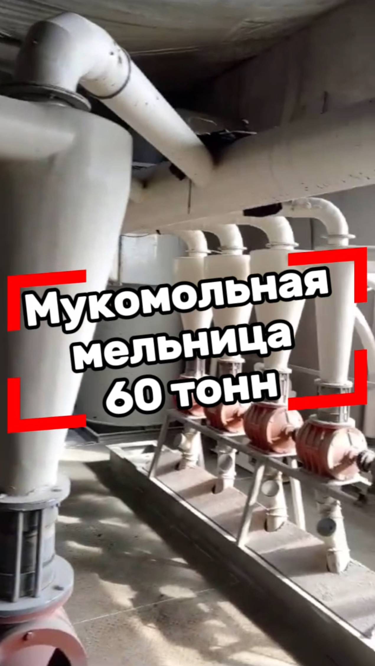 🌾 Мельница 60 тонн. Ремонт и обслуживание турецких мукомольных мельниц.