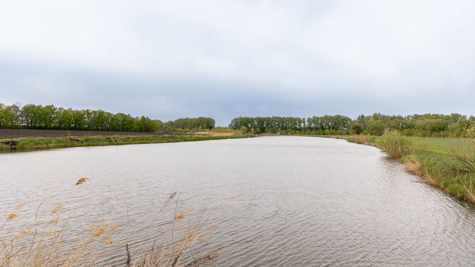 Приусадебный участок