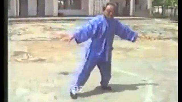 Янши Тайцзицюань