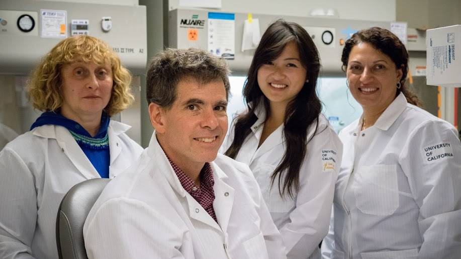 Кровь и старость