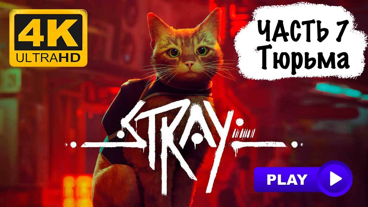 Stray № 7 - Тюрьма: НЕВЕРОЯТНЫЕ ПРИКЛЮЧЕНИЯ КОТА в городе роботов! 4K видео, Ультра графика