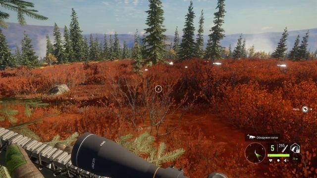 Охота на бизонов. Волки убили охотника.