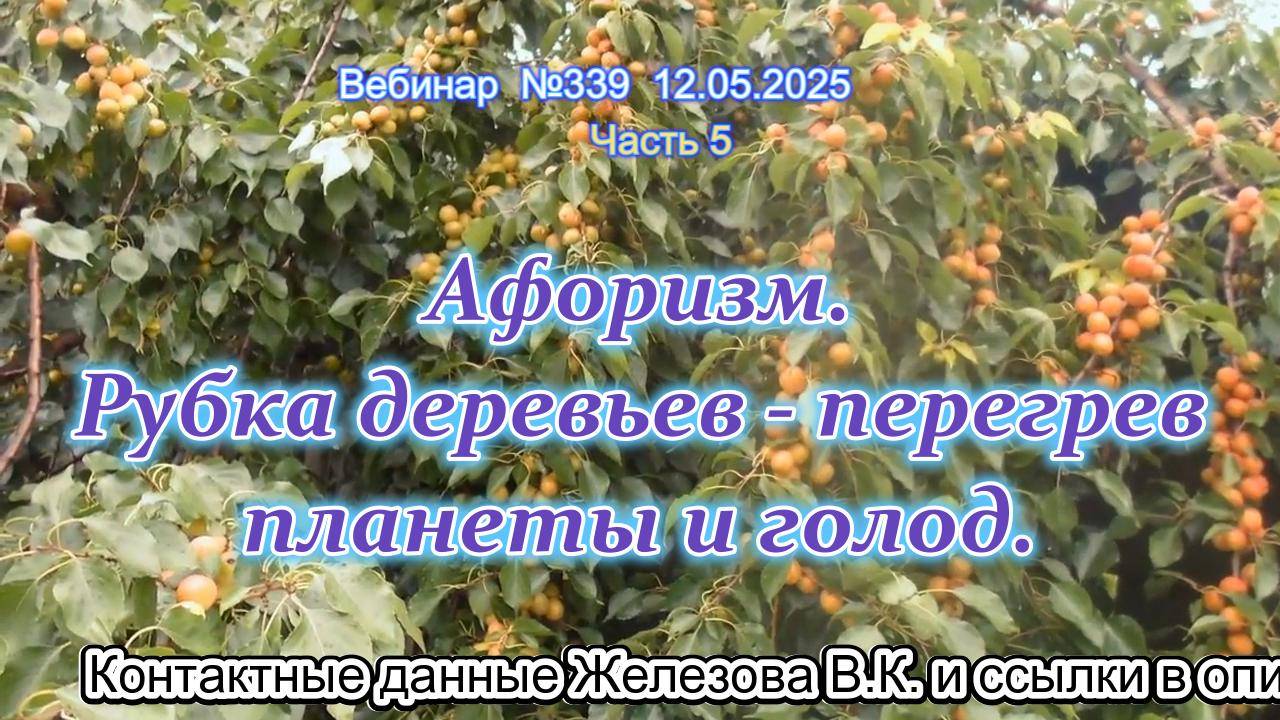 Железов Валерий. Вебинар 339. ч.5. Железов В.К.  Афоризм. Рубка деревьев - перегрев планеты и голод.