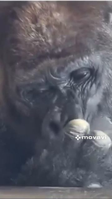 У вас так же или нет ?😂😂