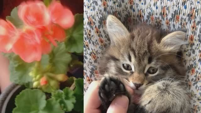 Татьянина радость