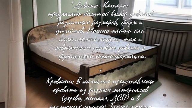 Хофф Екатеринбург: лучшие кактусы для вашего сада  .