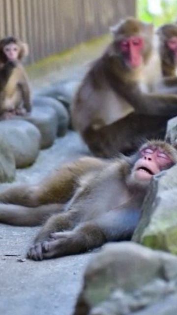 Тихий час по расписанию