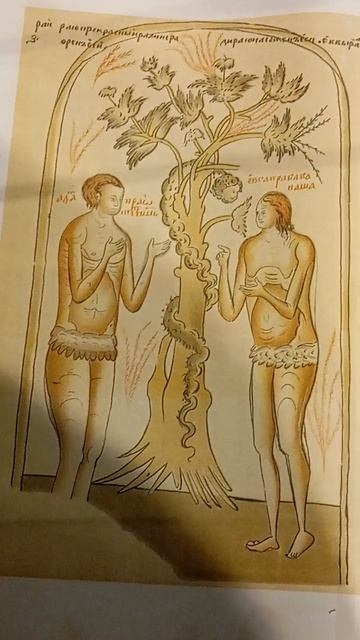 Райский сад. Выставка. Эпизод 7.