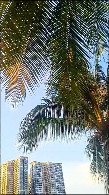 Лучшие виды Вьетнама.