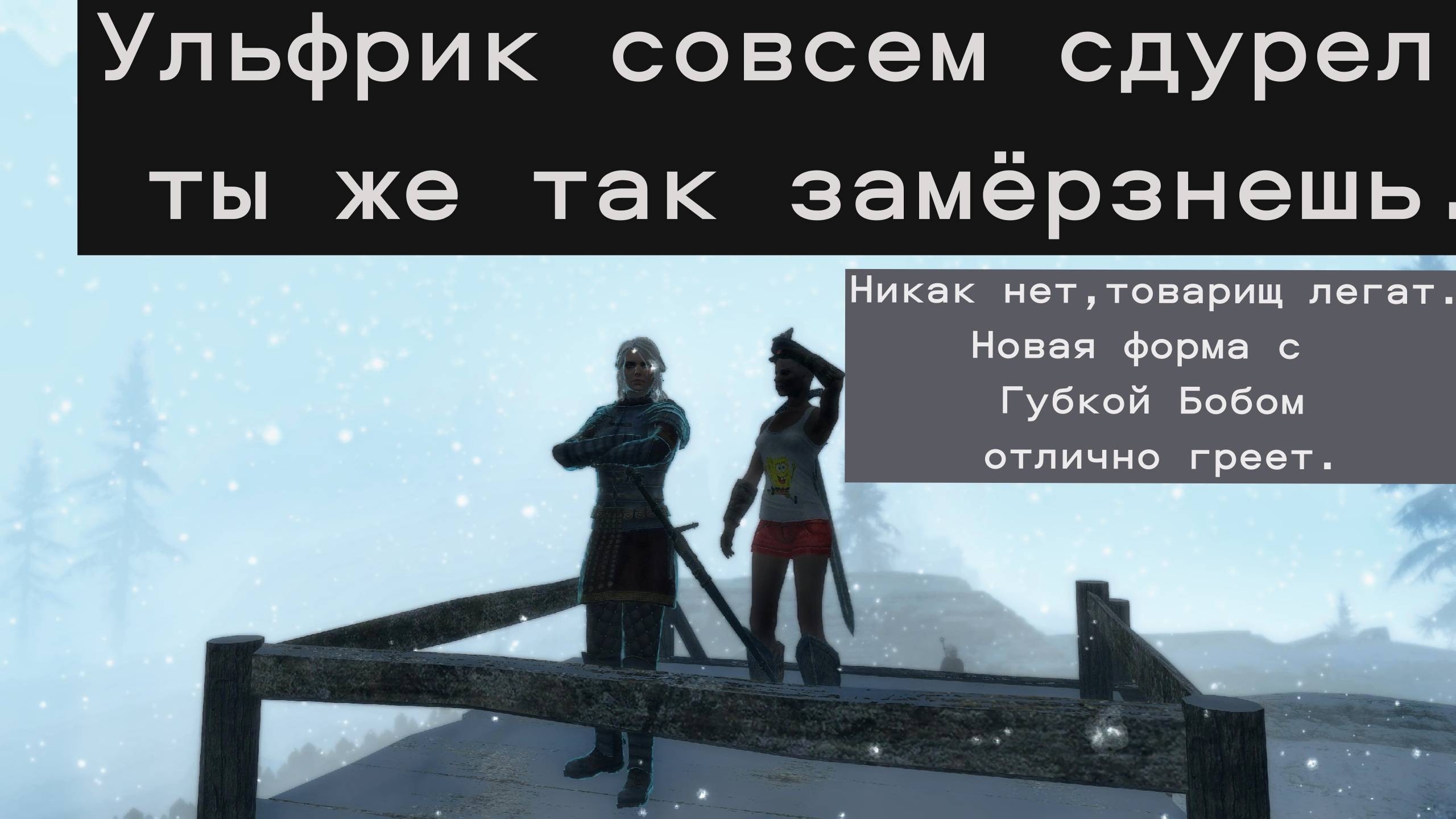 Цири много не бывает. Обзор модов на Цири в Скайриме