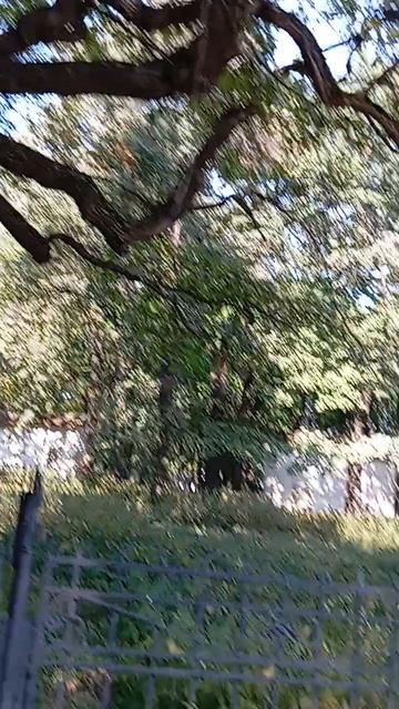 Райский сад. Выставка. Эпизод 12.