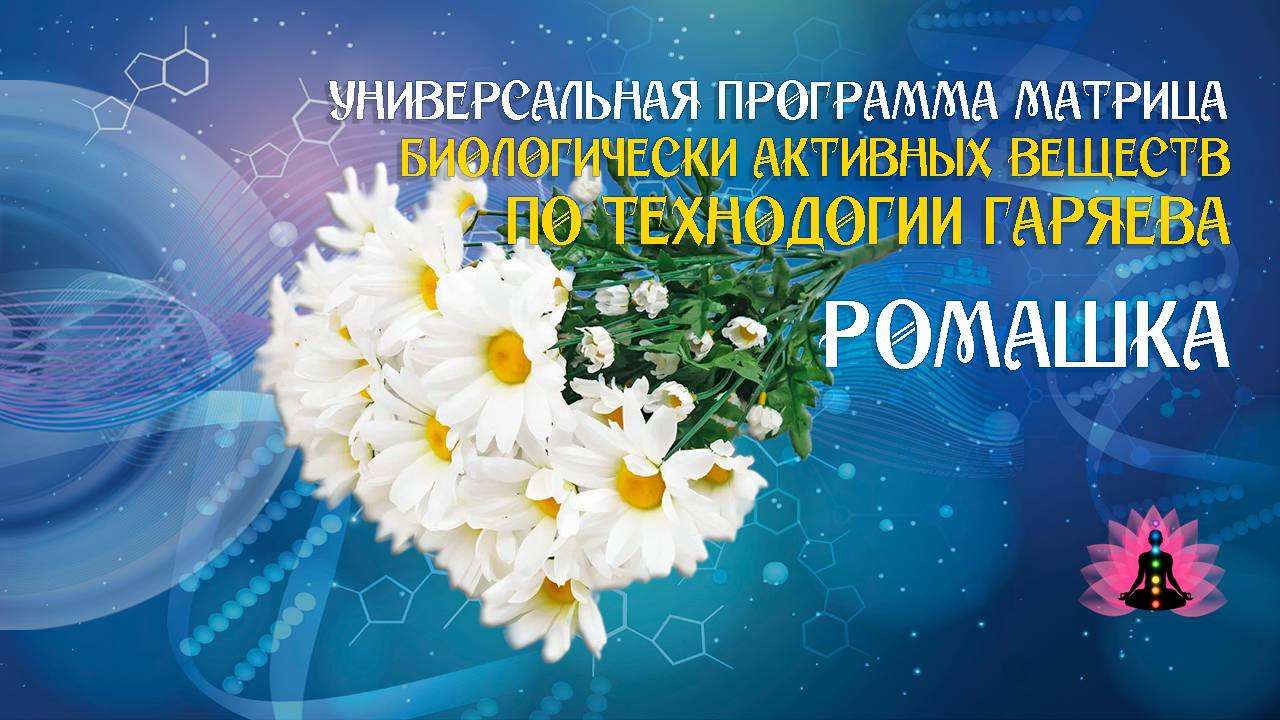 Ромашка 🔊 программа матрица по технологии Гаряева П.П ☀️ SoftRadio.ru
