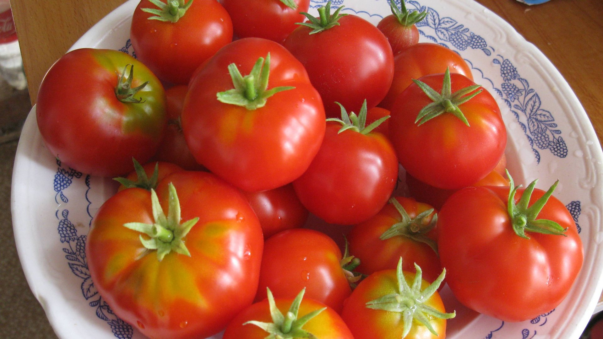 Домашние помидоры. На окне. Круглый год. Выращиваю помидоры черенкованием и пасынками. Помидры