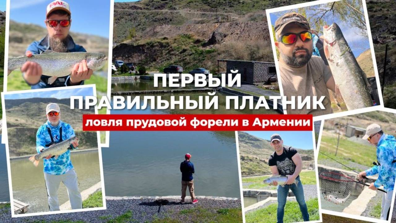 Первый правильный платник! Ловля прудовой форели в Армении.